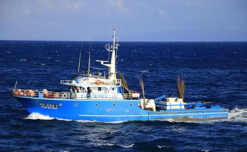 FLOR DO PICO - Vesseljoin