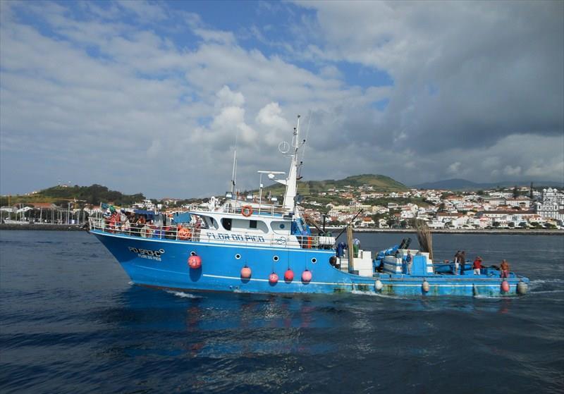 FLOR DO PICO - Vesseljoin