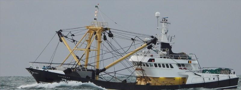 DEBORAH - Vesseljoin