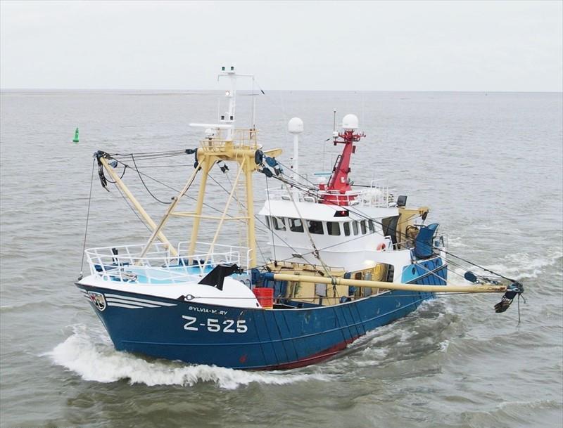 SYLVIA MARY - Vesseljoin