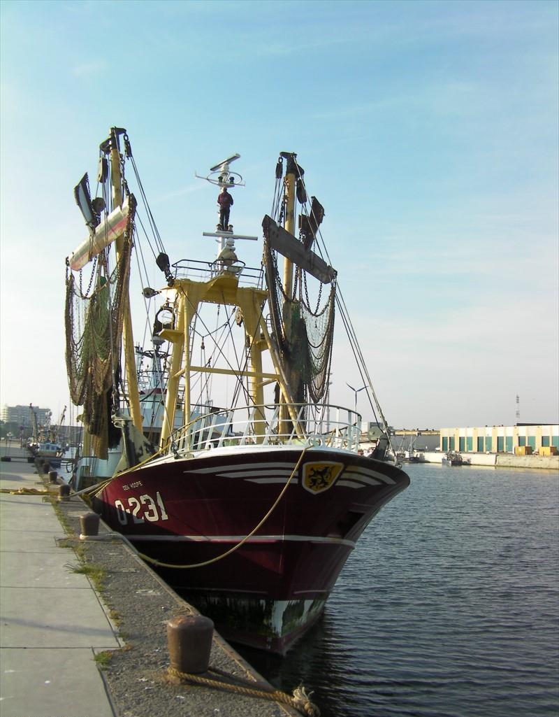 O231 DEN HOOPE - Vesseljoin