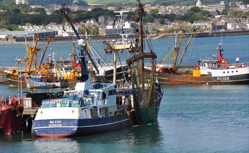 VAN EYCK - Vesseljoin