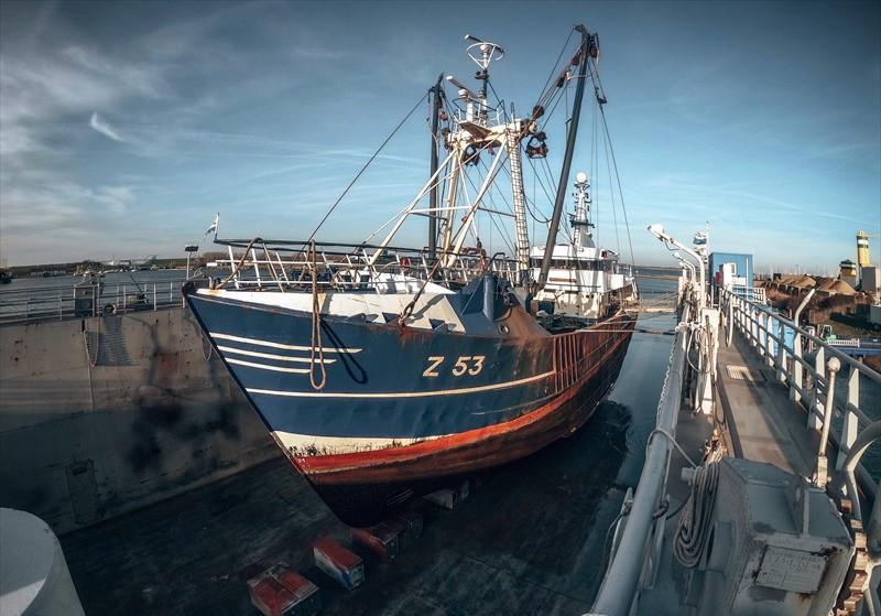 VAN EYCK - Vesseljoin