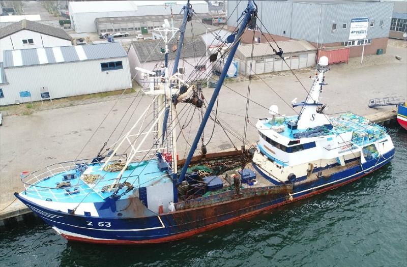 VAN EYCK - Vesseljoin