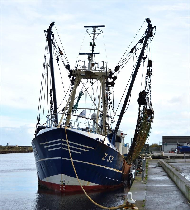 VAN EYCK - Vesseljoin