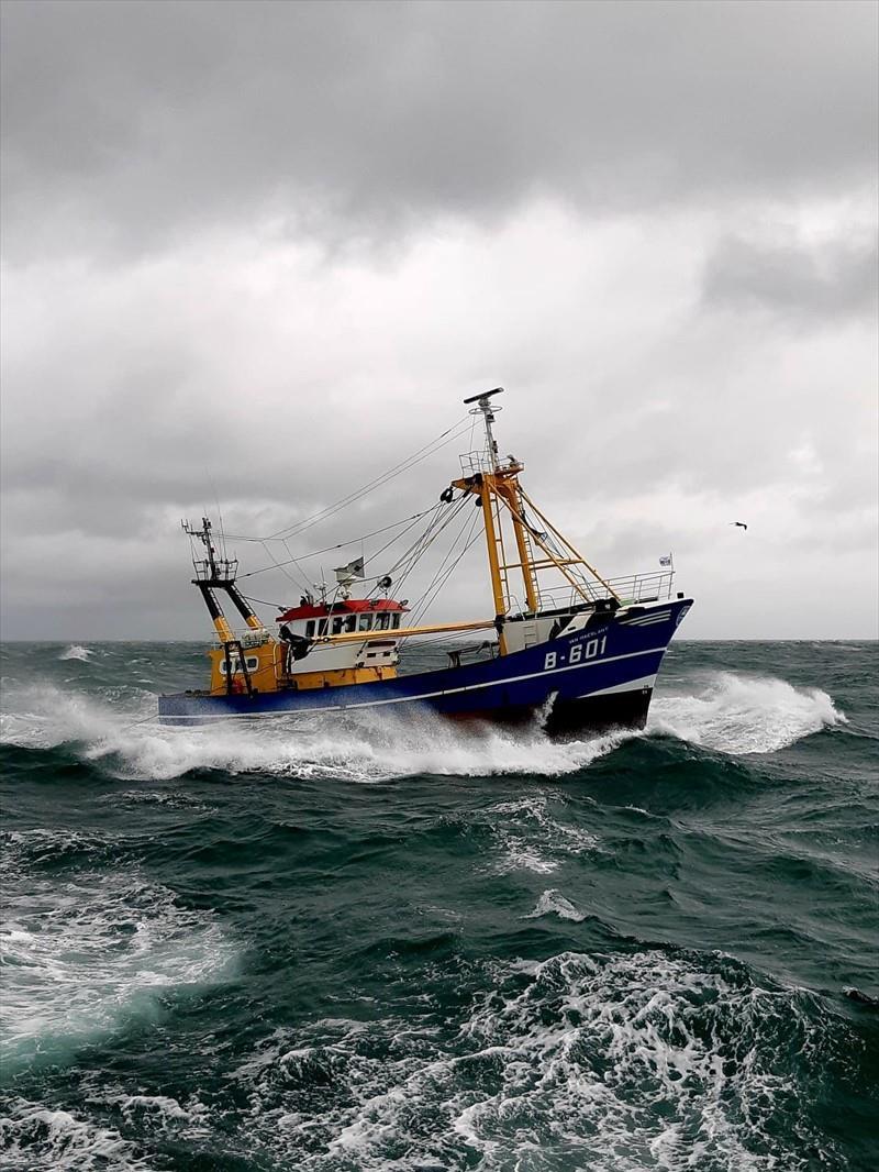 B 601 VAN MAERLANT - Vesseljoin