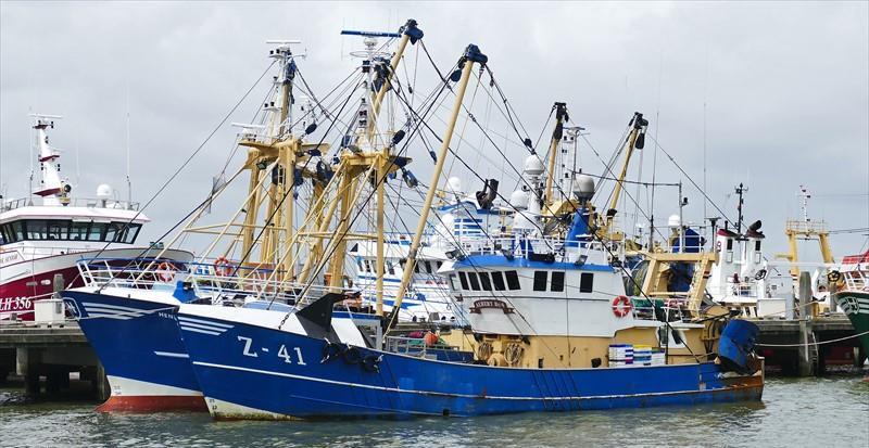 Z41 ALBERT BOS - Vesseljoin