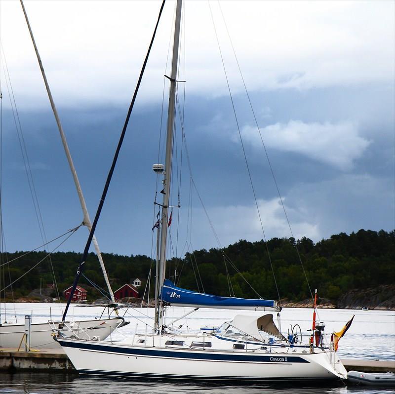 CAYUGA II - Vesseljoin