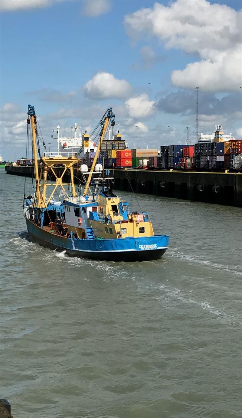 ZILVERMEEUW - Vesseljoin