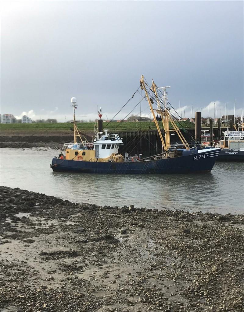 N79 WARRIOR - Vesseljoin