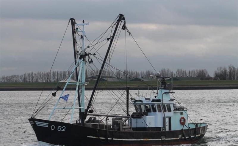 O62 DINI - Vesseljoin