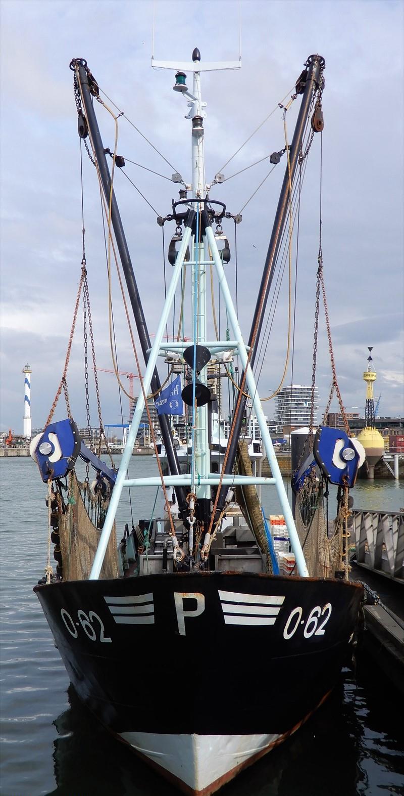 O62 DINI - Vesseljoin