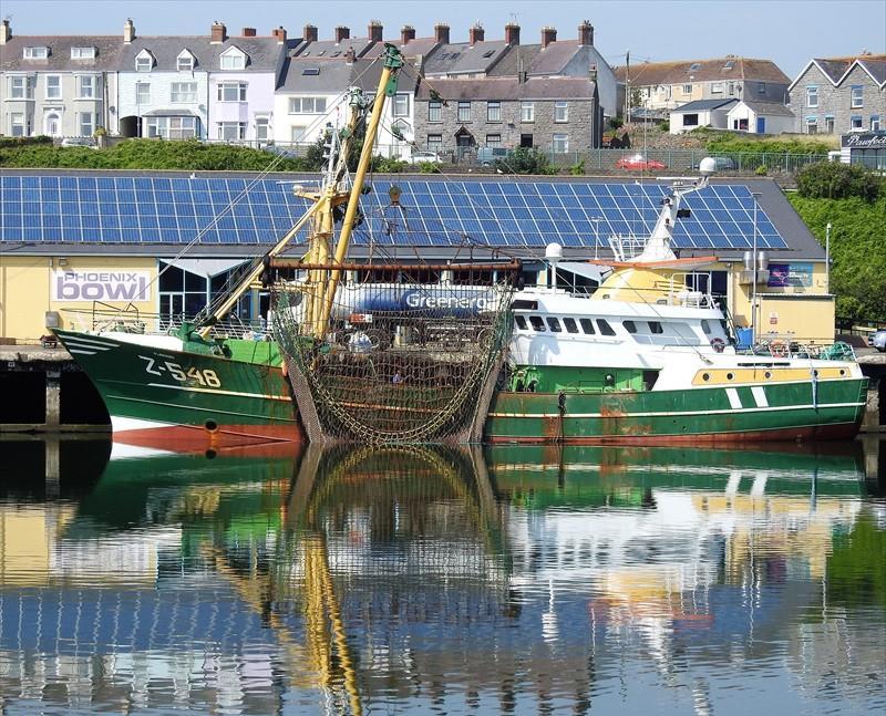 FLAMINGO - Vesseljoin