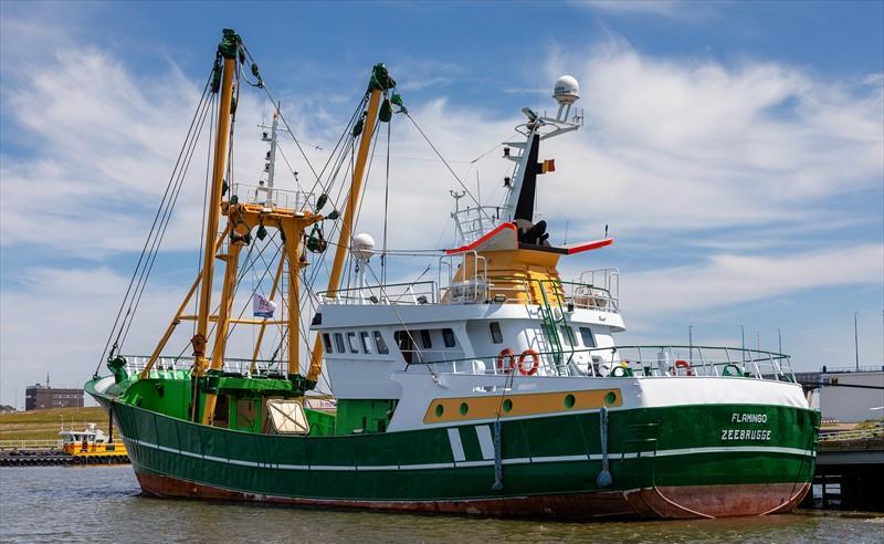 FLAMINGO - Vesseljoin