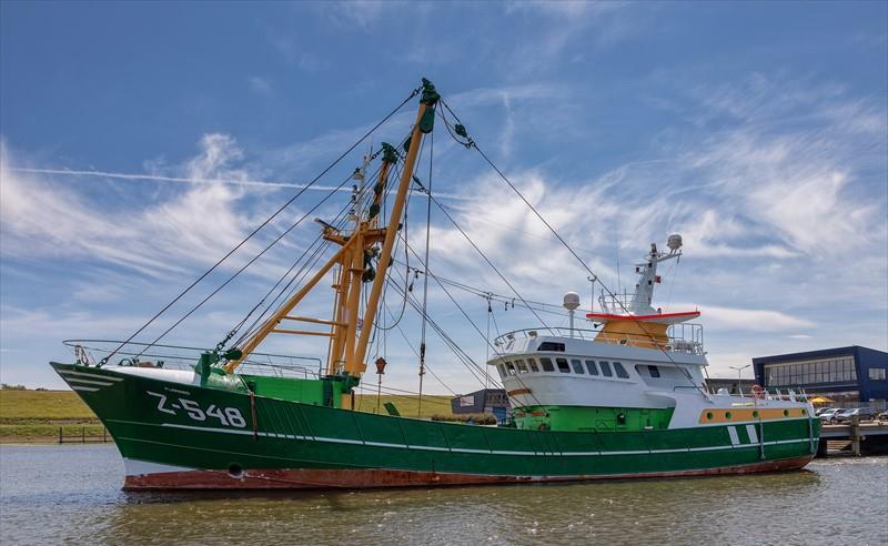 FLAMINGO - Vesseljoin