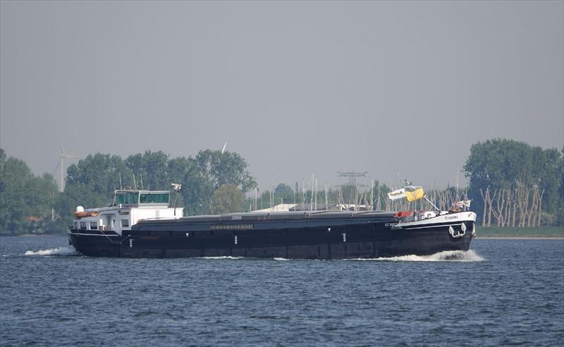 SUNSHINE - Vesseljoin