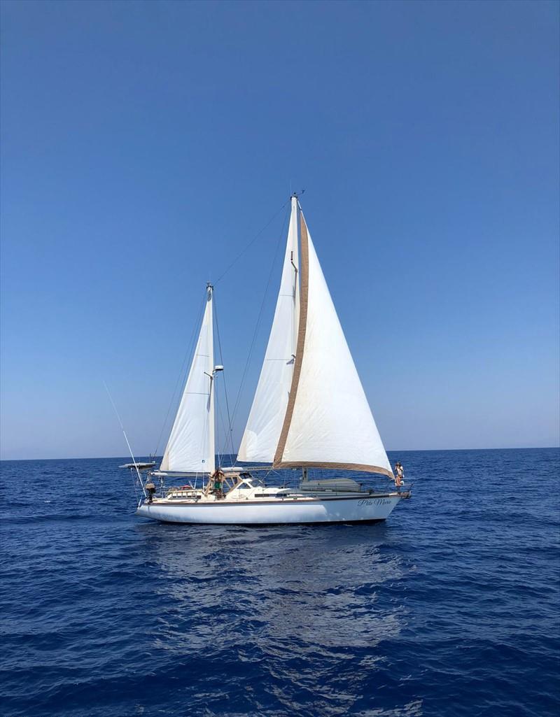 PETITE MARIE - Vesseljoin