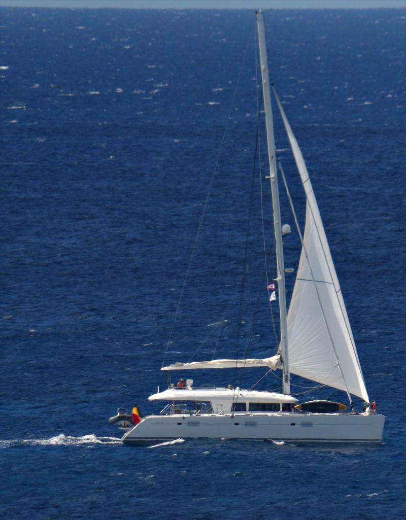 CROCODILE DADDY - Vesseljoin