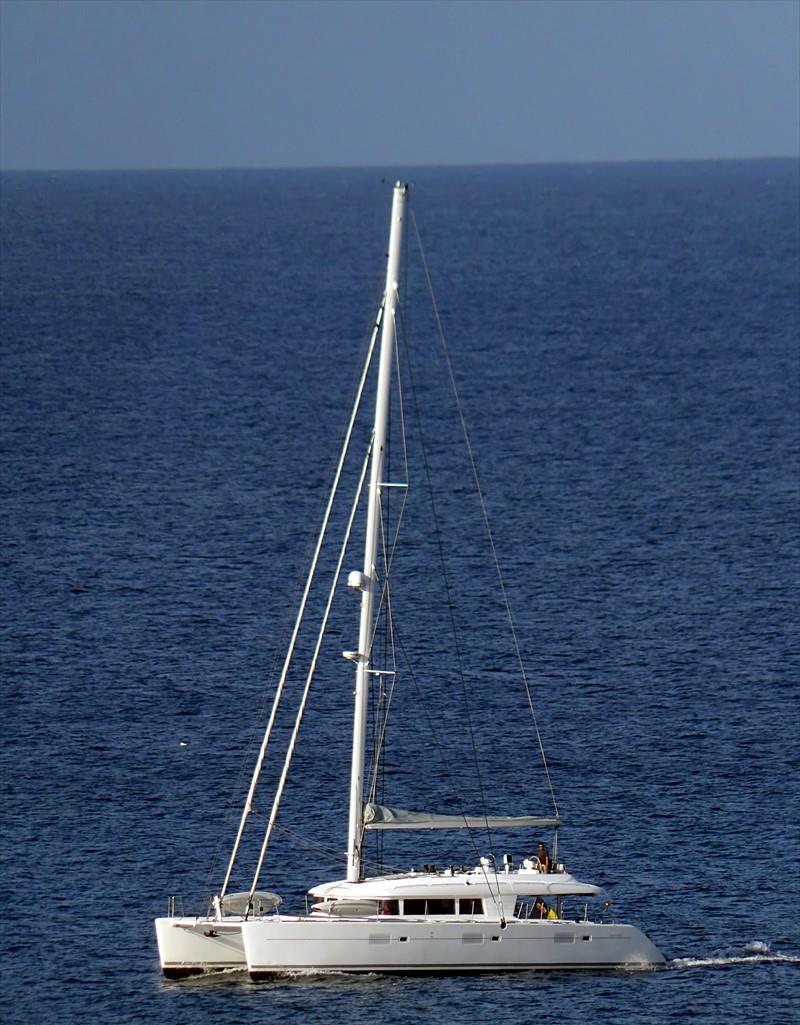 CROCODILE DADDY - Vesseljoin