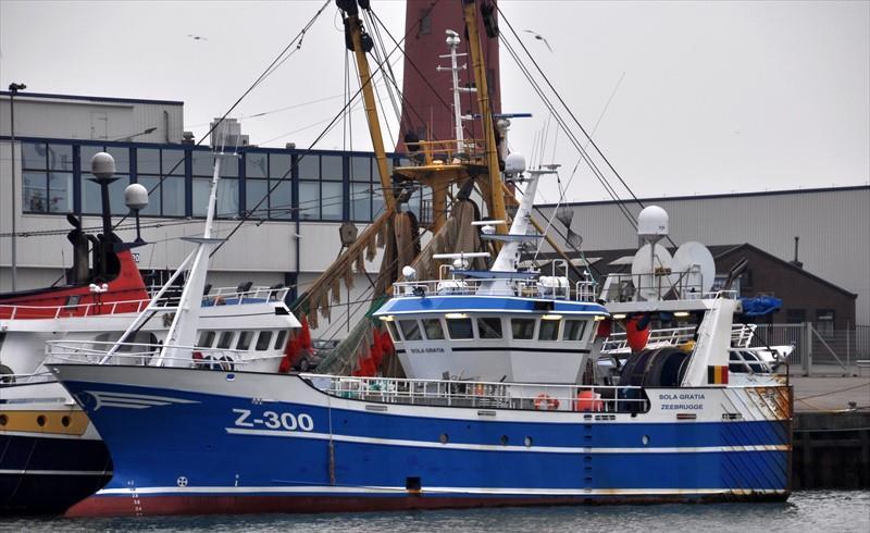 CALIMA LUANDA - Vesseljoin