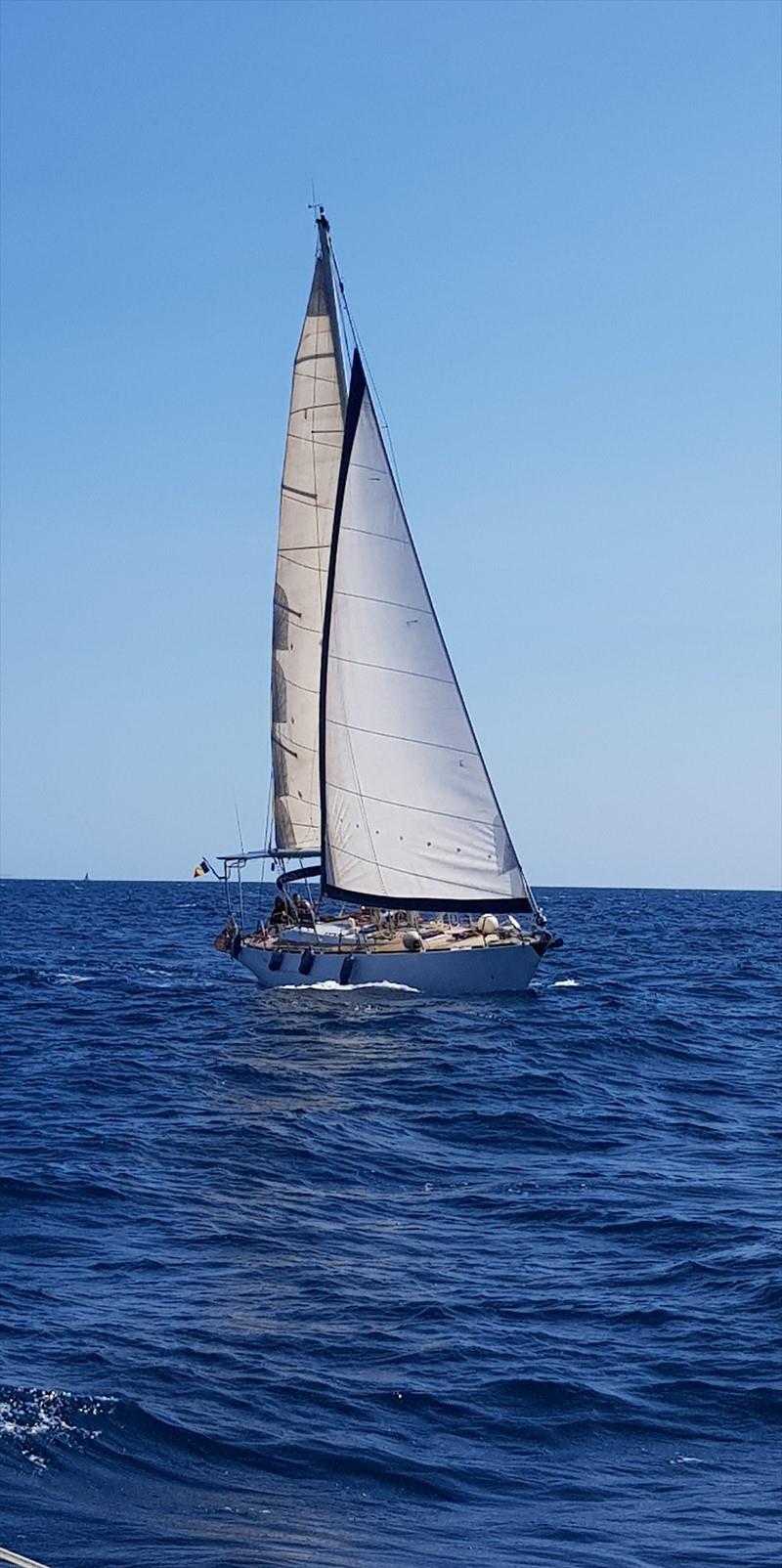 ANGRY WIFE - Vesseljoin