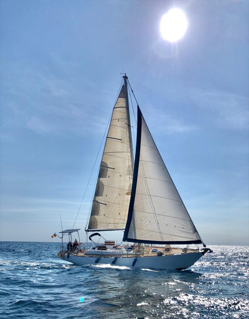 ANGRY WIFE - Vesseljoin