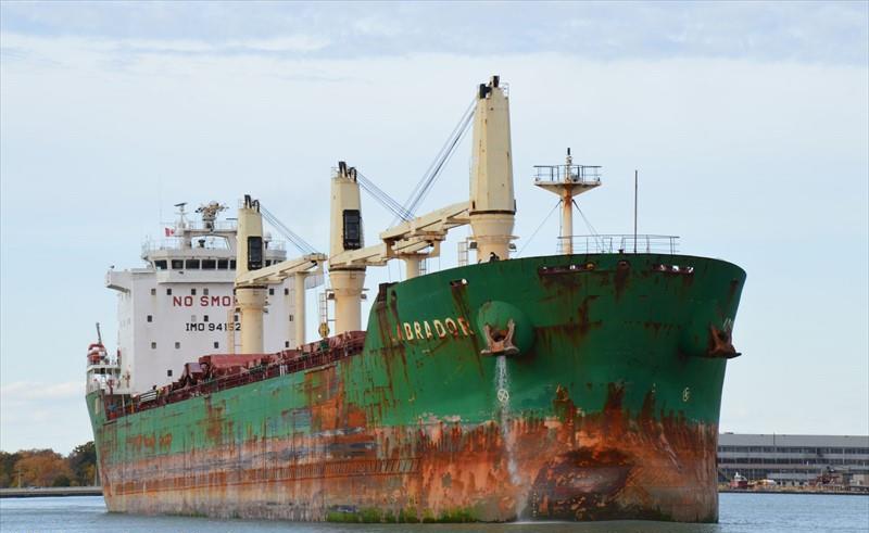 LABRADOR - Vesseljoin