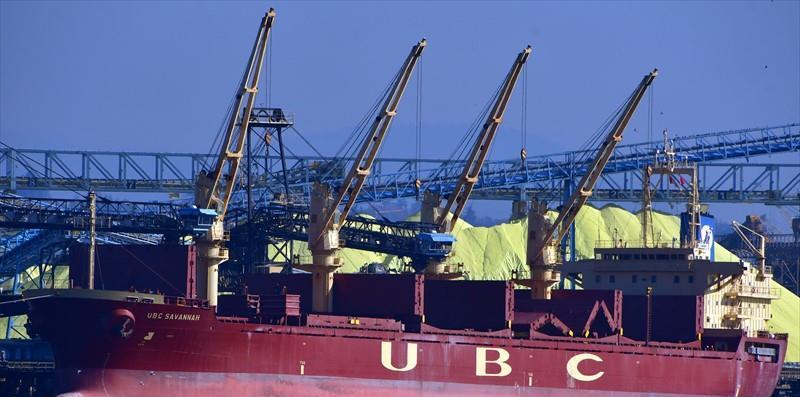 UBC SAVANNAH - Vesseljoin