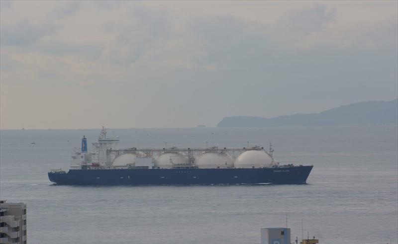 GRAND ELENA - Vesseljoin