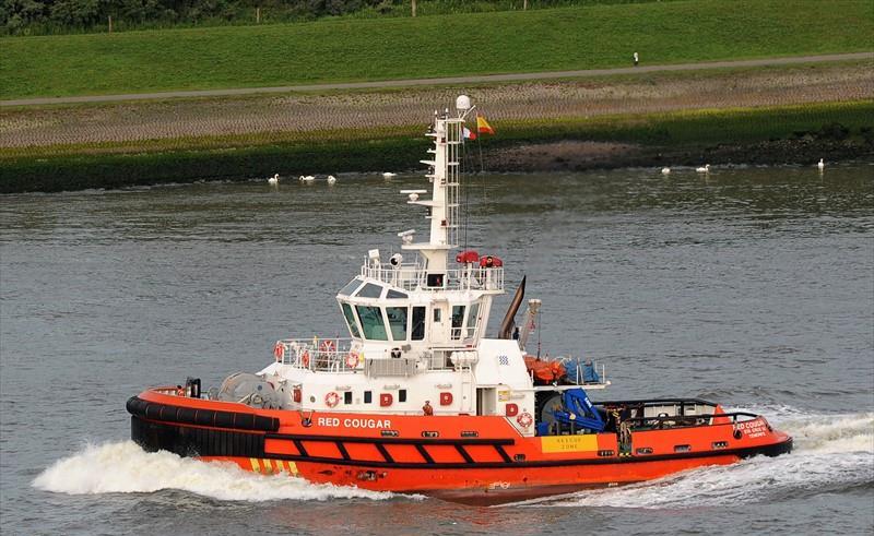 RED COUGAR - Vesseljoin