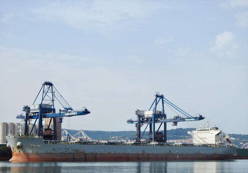 BLUE WAVE - Vesseljoin