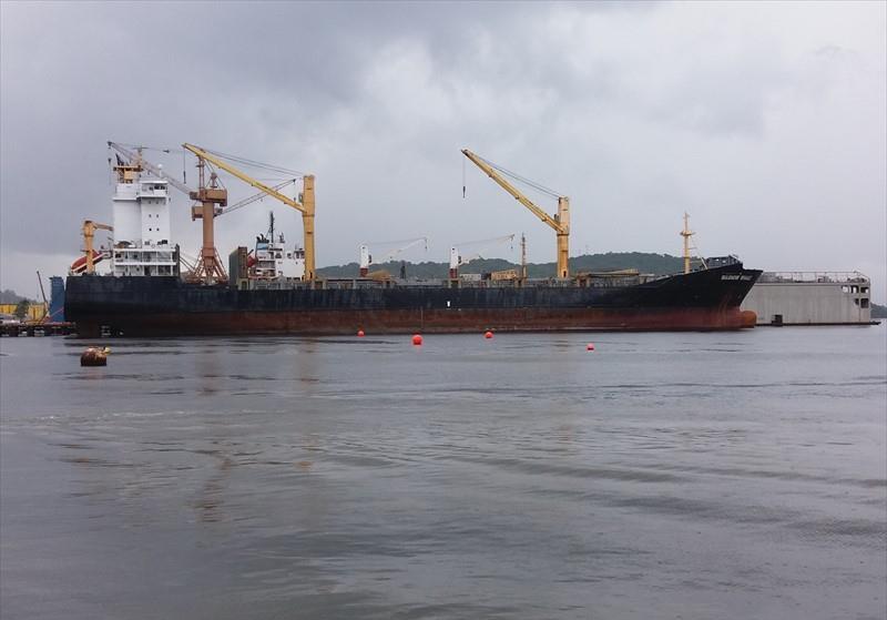 WARNOW WHALE - Vesseljoin