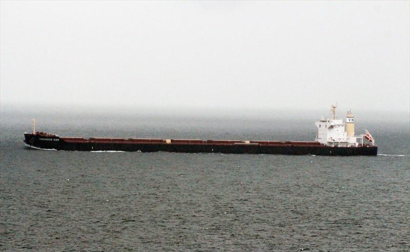 TROODOS OAK - Vesseljoin