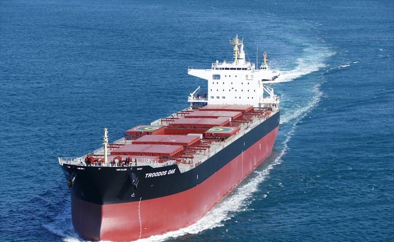 TROODOS OAK - Vesseljoin