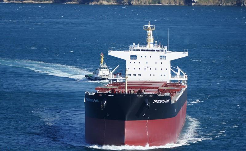 TROODOS OAK - Vesseljoin