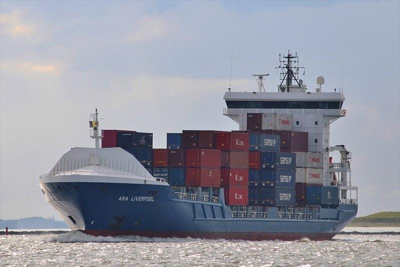 WEC VAN EYCK - Vesseljoin