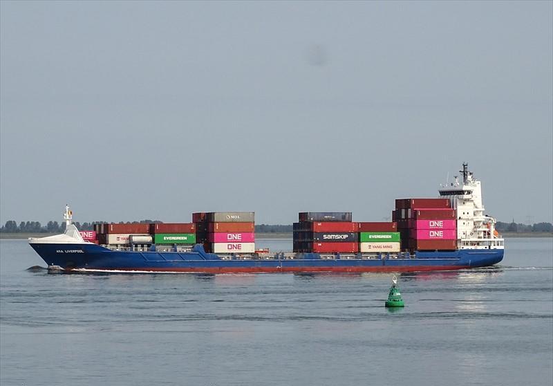 WEC VAN EYCK - Vesseljoin