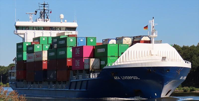 WEC VAN EYCK - Vesseljoin