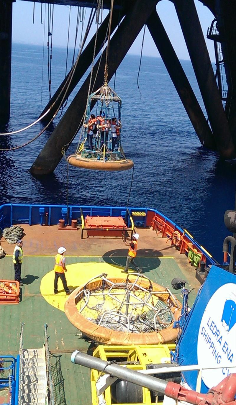 LEDRA PRIDE - Vesseljoin