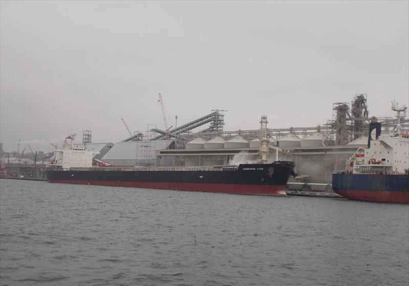 LEMESSOS LION - Vesseljoin