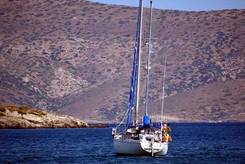 FISH SHIPS - Vesseljoin