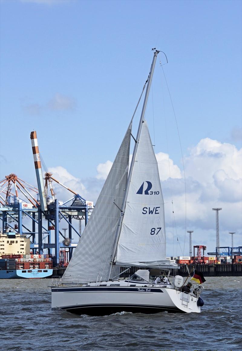 TINKER BELL - Vesseljoin