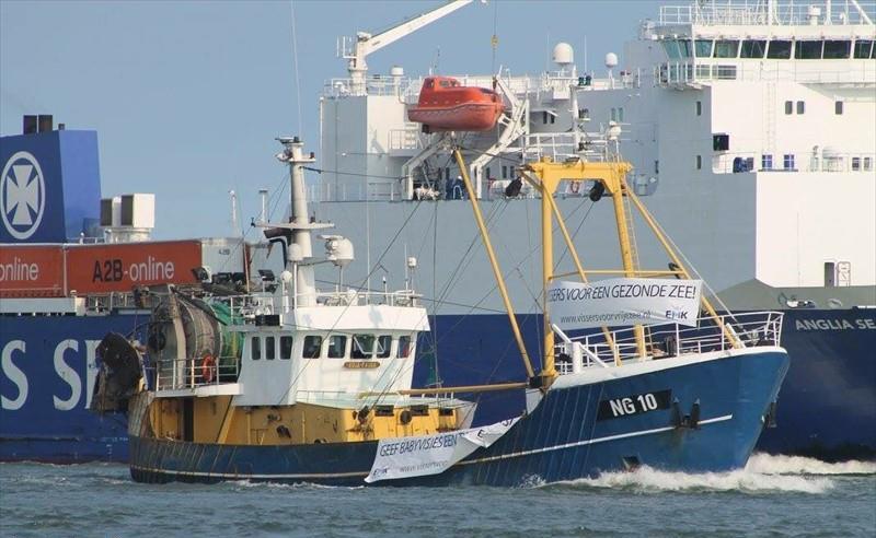 AQUAFAUNA - Vesseljoin