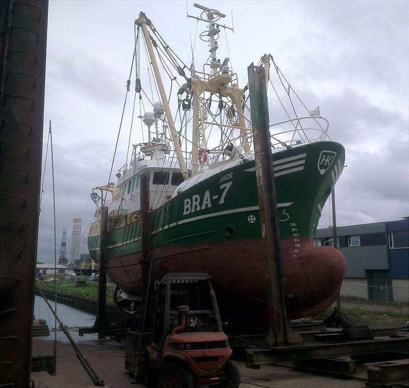 BRA7 JADE - Vesseljoin