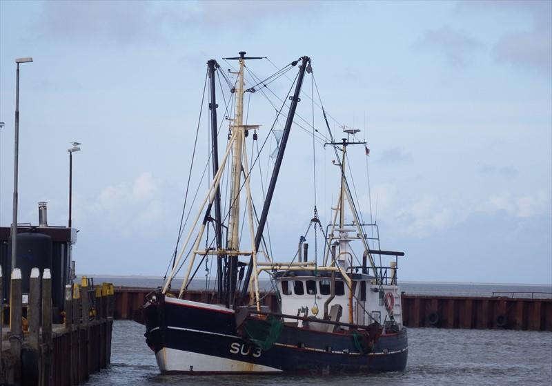 THEODOR STORM - Vesseljoin