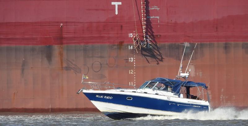 BLUE RADO - Vesseljoin