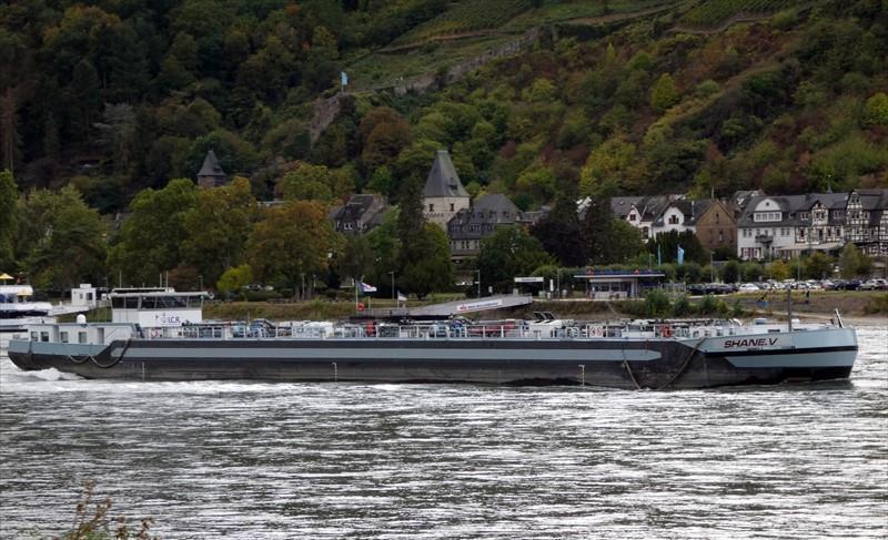 SHANE.V - Vesseljoin