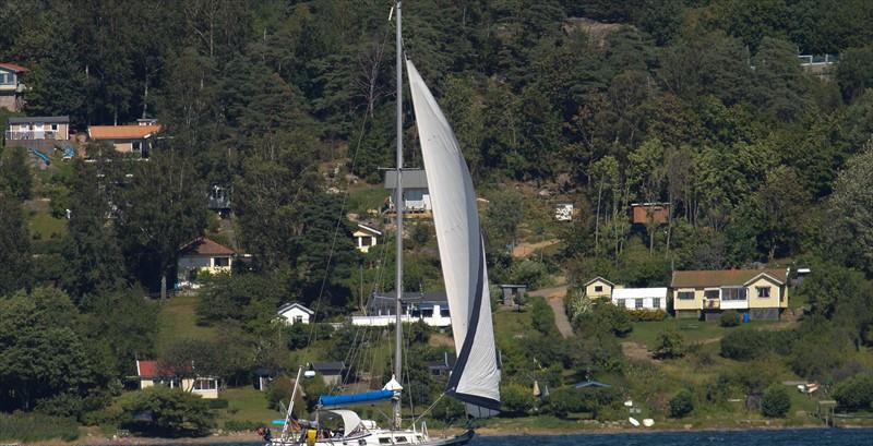 IL VENTO - Vesseljoin