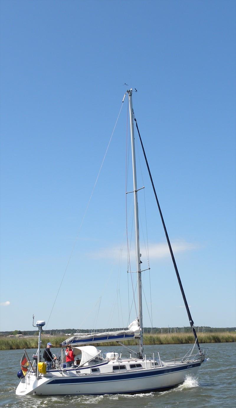 IL VENTO - Vesseljoin