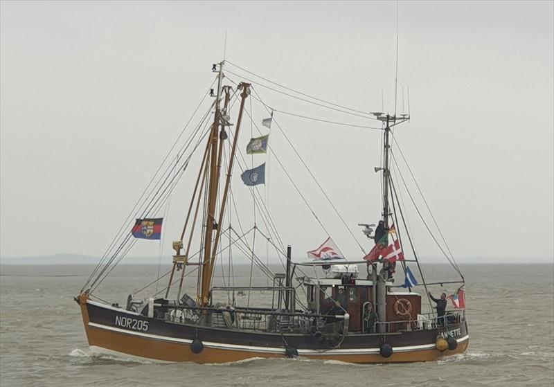 ANNETTE - Vesseljoin